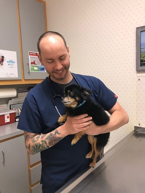 Northeast Veterinary Hospital | Our Staff