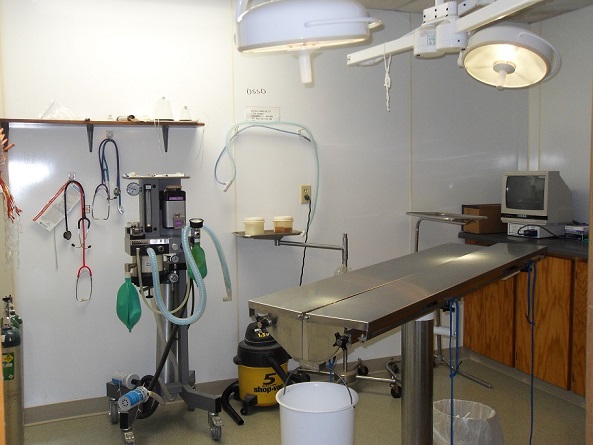 Cooper County Animal Hospital Pc | Virtual Tour