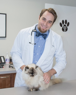 Severna Park Vet Hospital Our Staff